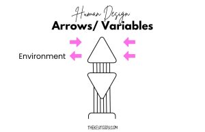 The Best Human Design Arrows/ Four Variables Guide - The Keys To Joy