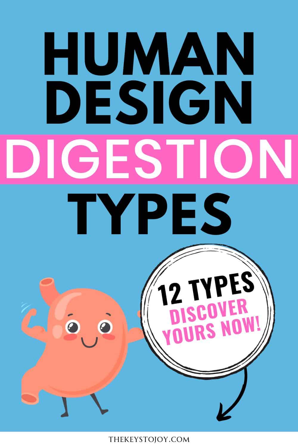 Human Design Digestion Types: Find Your Ideal Eating Style