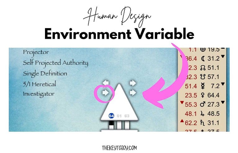 Human Design Environment: What Is It & How To Thrive!