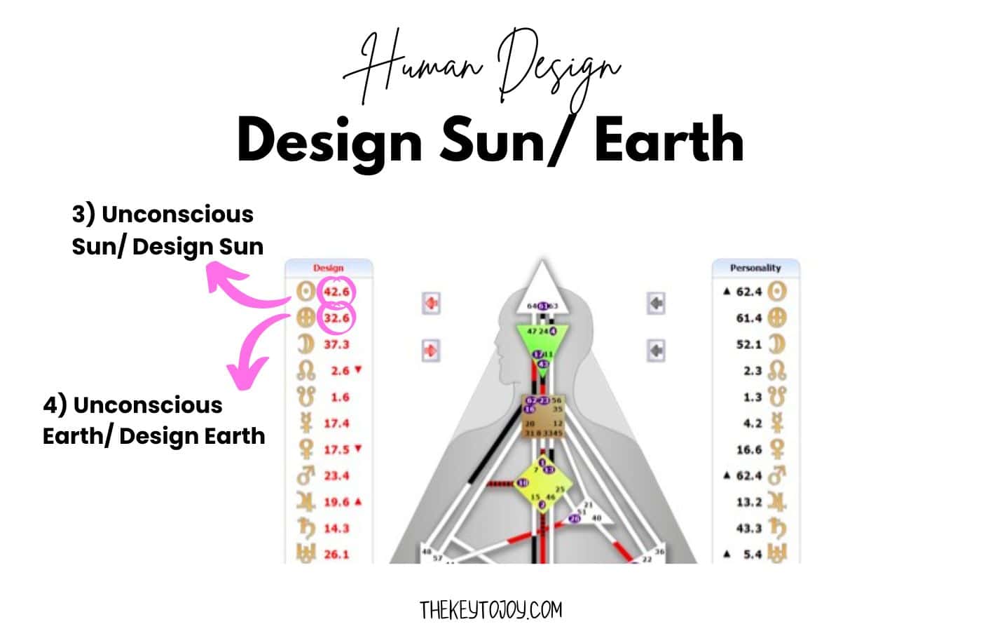 Human Design Digestion Types: Find Your Ideal Eating Style