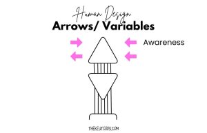 The Best Human Design Arrows/ Four Variables Guide - The Keys To Joy