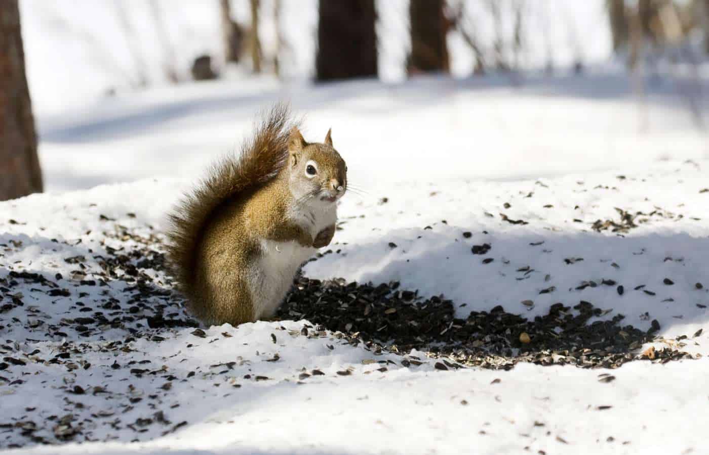 Human Design Lines Explained: Unlock The 1-6 Secrets Here!